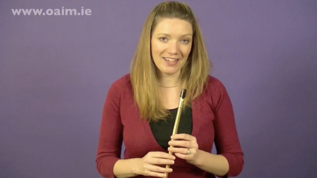 Learn How To Play Tin Whistle Online in 6 Easy Steps - OAIM