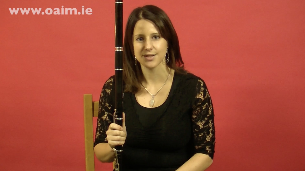 Irish Flute Music Lessons | Learn How to Play the Irish Flute - OAIM