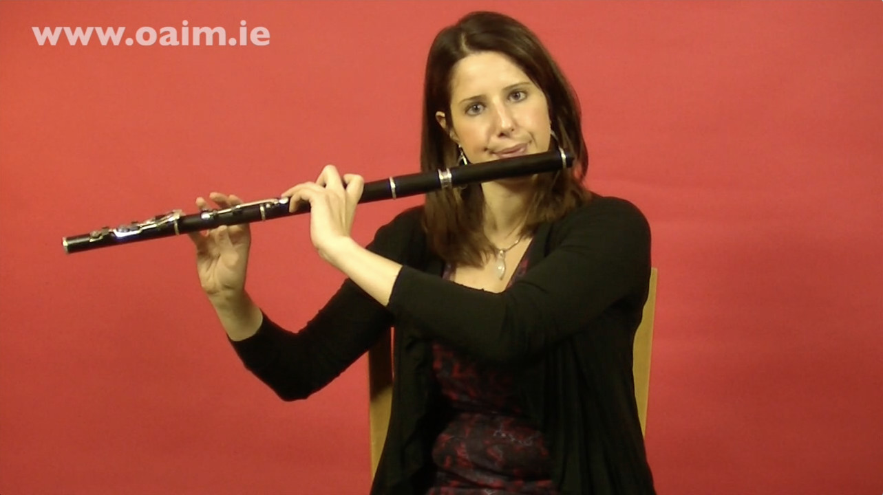 Irish Flute Music Lessons | Learn How to Play the Irish Flute - OAIM