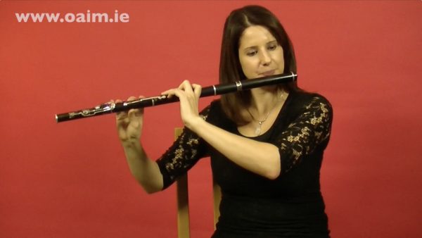 Irish Flute Music Lessons | Learn How to Play the Irish Flute - OAIM