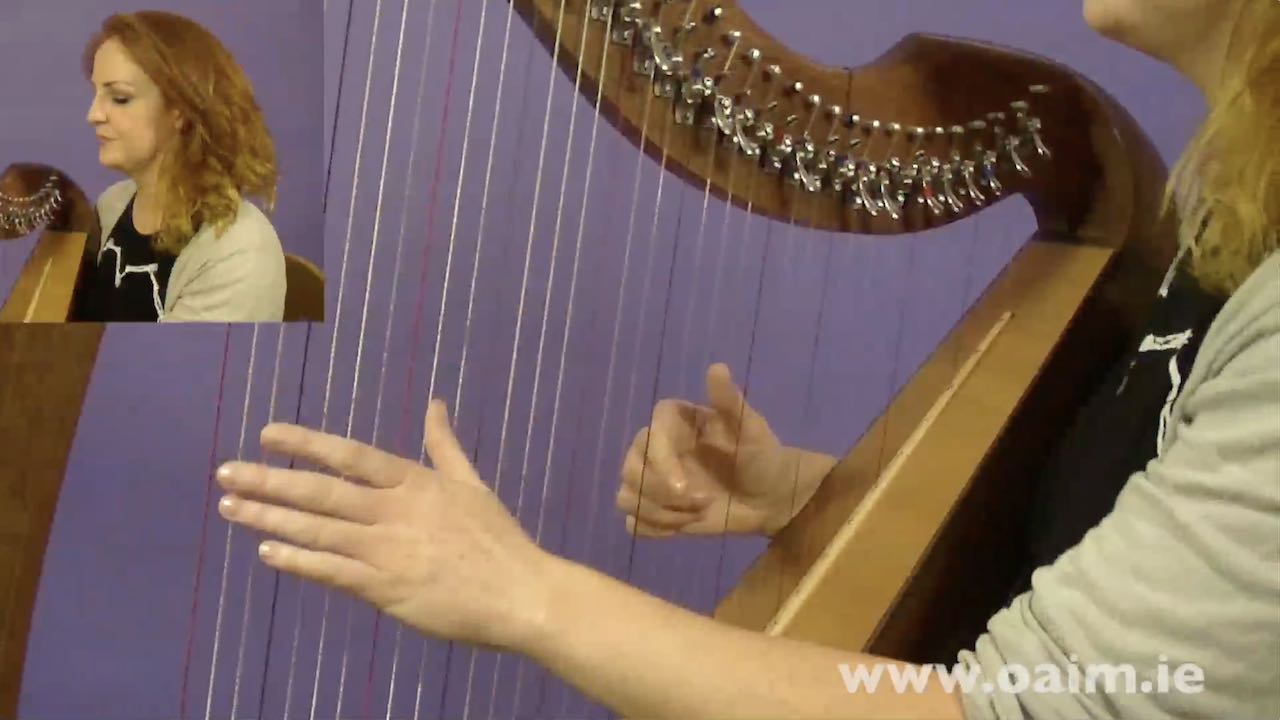 How to Play the Harp - Celtic Harp with Irish Teacher - OAIM