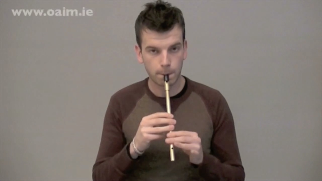 Learn Expert Irish Tin Whistle Skills from Master Teachers - Self ...