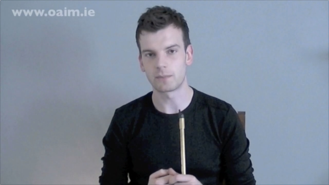 Learn Expert Irish Tin Whistle Skills from Master Teachers - Self ...