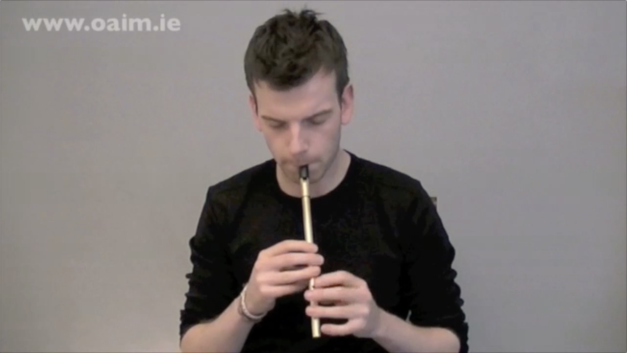 Learn Expert Irish Tin Whistle Skills from Master Teachers - Self ...