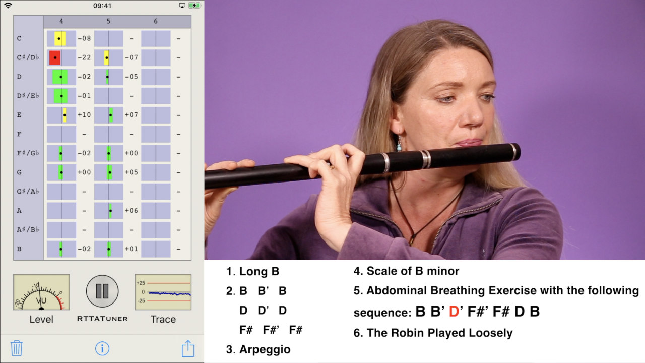 All About Reels: Learn How to Master Reels on the Irish Flute