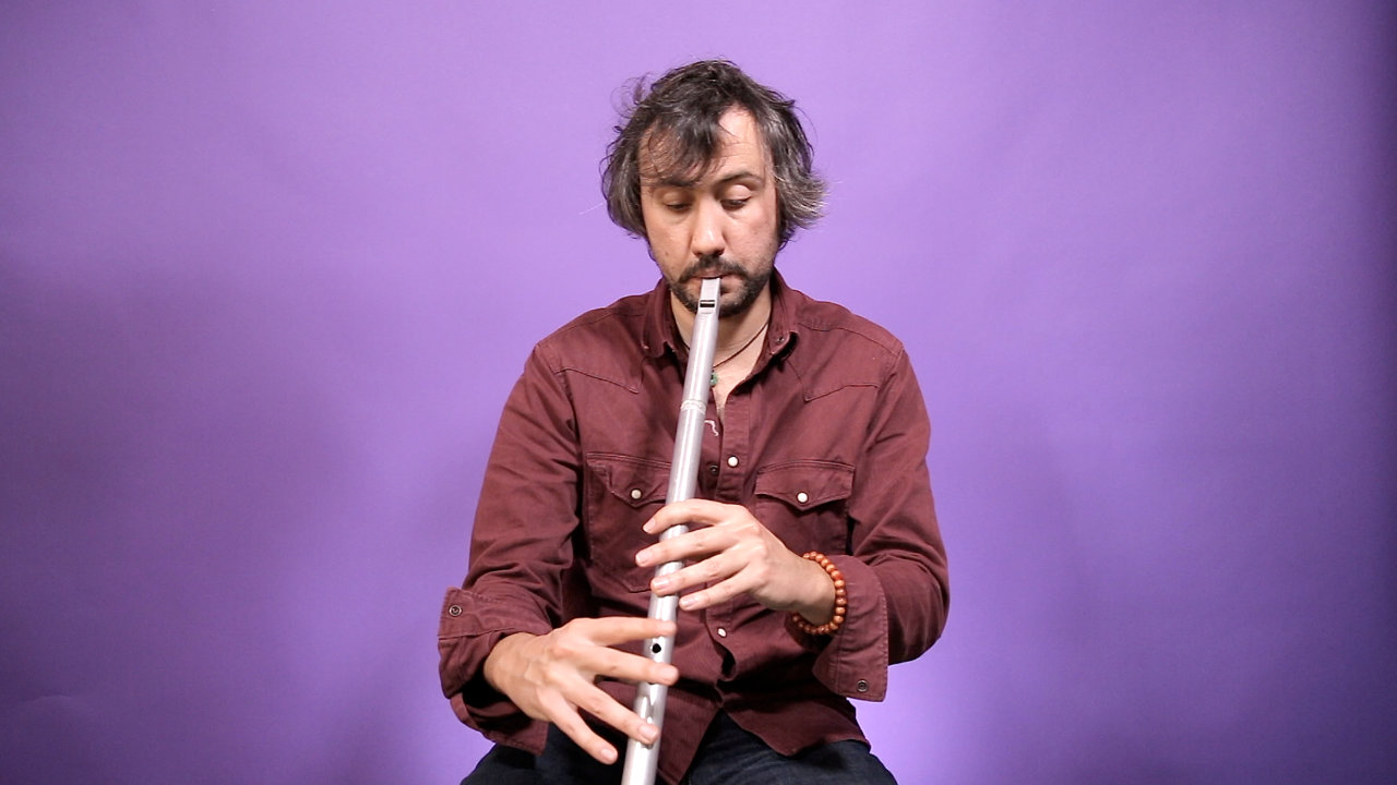 Learn How To Play The Low Whistle in the Irish Tradition