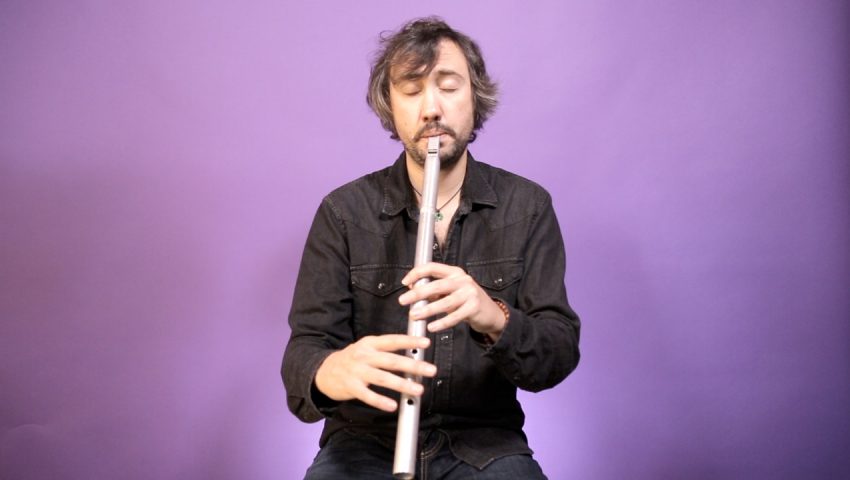 Learn How To Play The Low Whistle in the Irish Tradition
