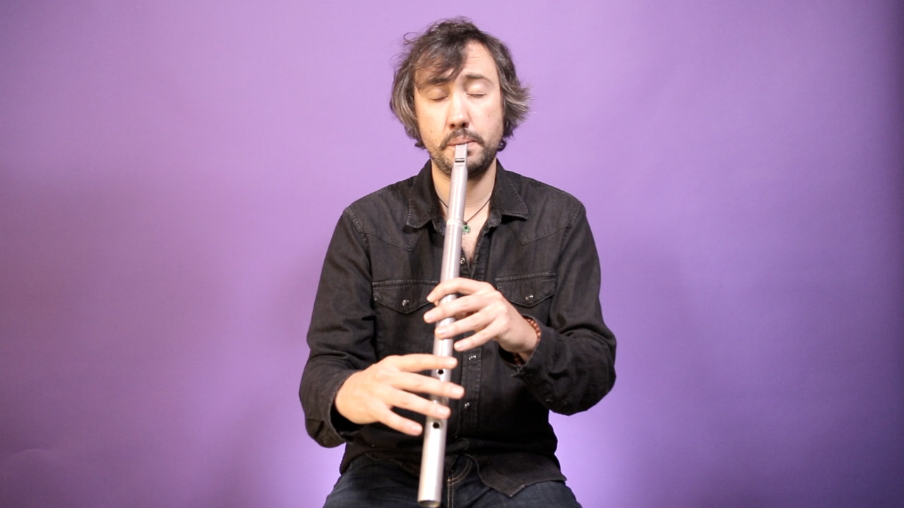 Learn How To Play The Low Whistle in the Irish Tradition