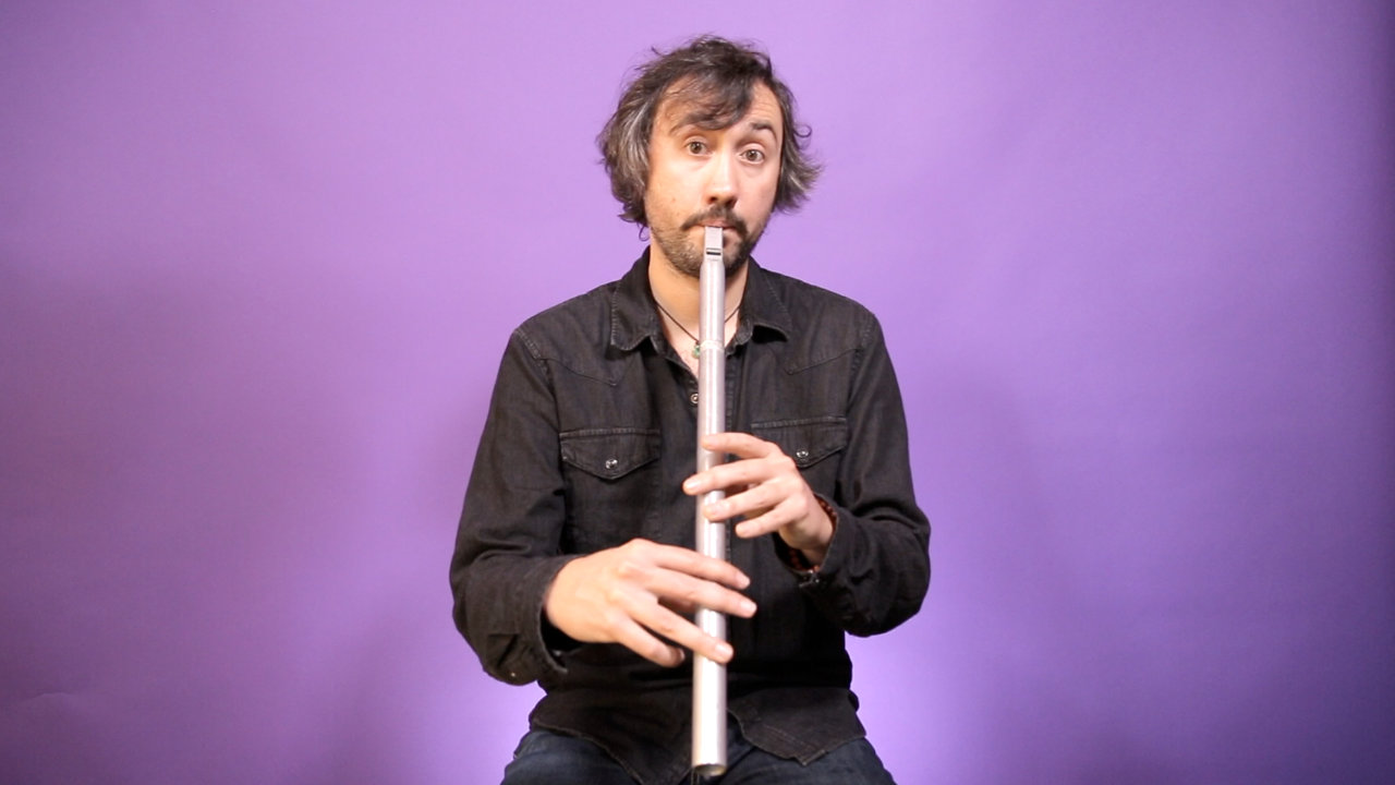 Learn How To Play The Low Whistle in the Irish Tradition